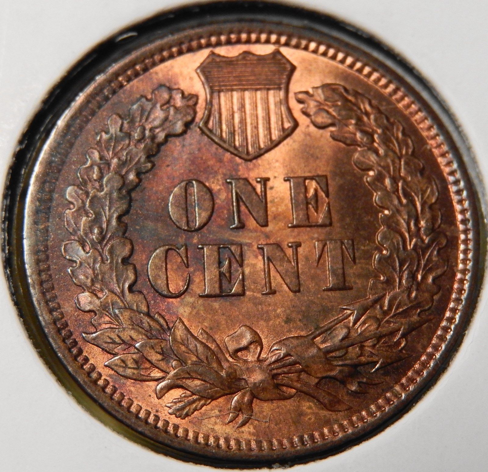 1899 Indian Head Penny Coin Talk