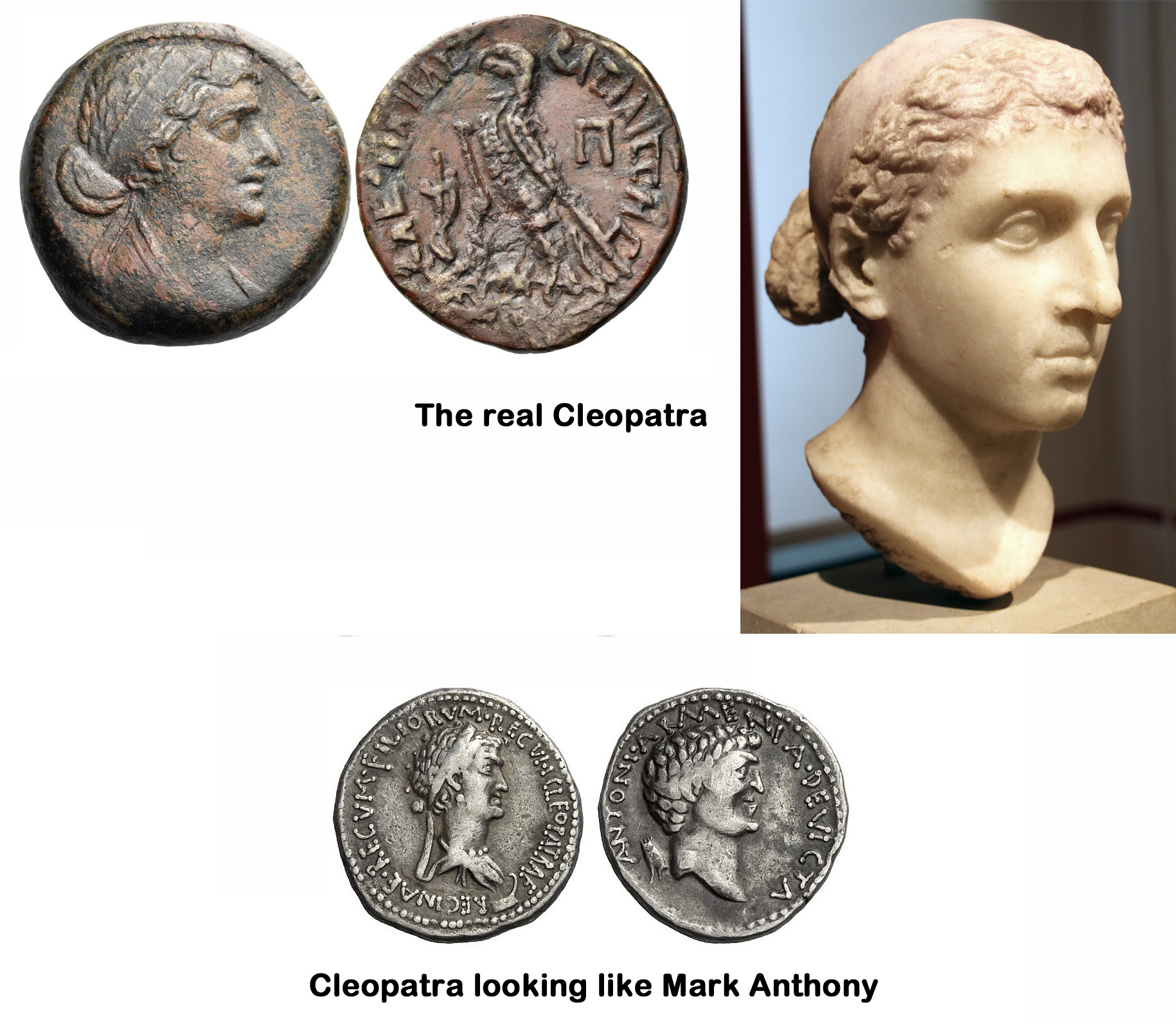 Mark Antony's Wives..... and Brother..... and Daughter | Coin Talk