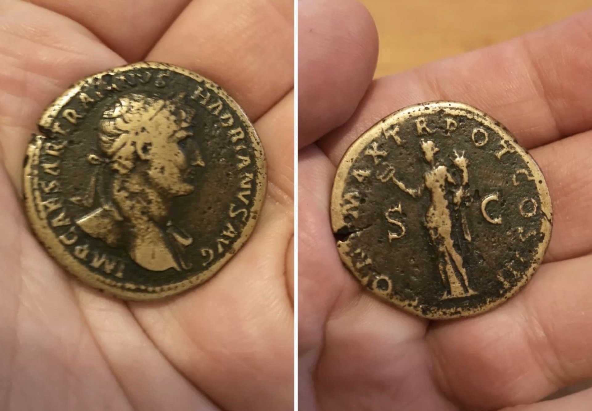 Bargain Or Fake Coin Talk